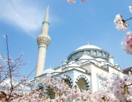 Huge queues formed in front of the Tokyo's mosque | islam.ru
